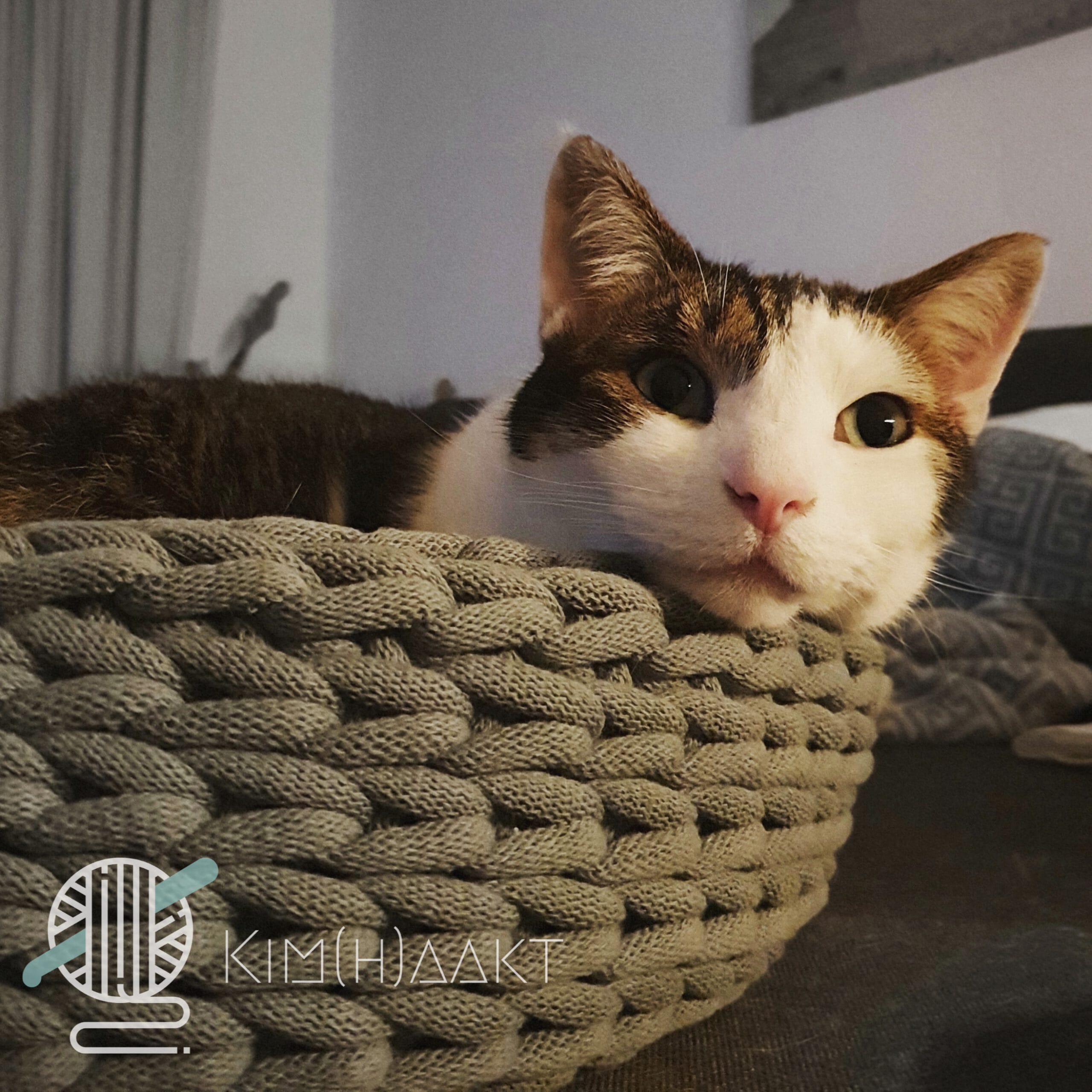 Gehaakte kattenmand - KimHaakt